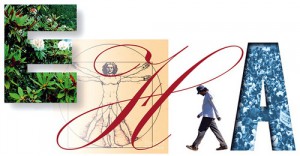 EIA กับ EHIA - Sarakadee Magazine