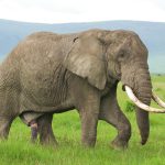 สัมภาษณ์ อาจารย์จุลพร นันทพานิช เดินหารากเหง้า สถาปัตยกรรมสีเขียว ...